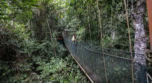 Poring Hot Springs, Sabah: A lot more than Hot Sulphur Water